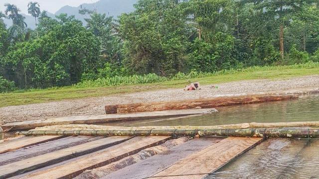 Memburu Setan Pembalakan Liar Di Aceh Regional