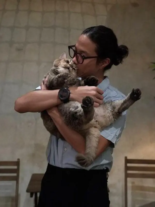 8 Fakta Unik Gigi Kucing, Salah Satunya Sudah Tumbuh Usai 2 Minggu ...