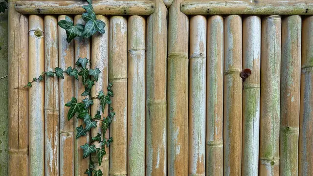 Antoneng, Alat Musik Tradisional dari Bambu Khas Kalimantan Barat ...