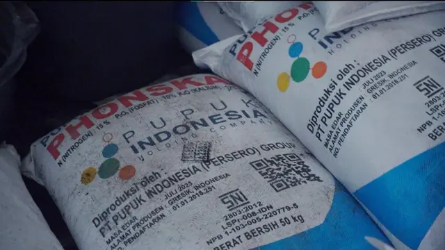 Stok Pupuk di Indramayu Cukup, Kementan Ajak Petani Optimalkan Masa ...