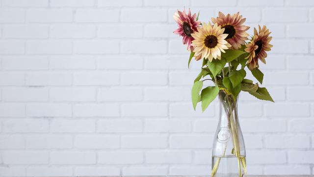 9 Cara Merangkai Bunga Mudah dan Simpel, Cocok untuk Pemula - Hot ...