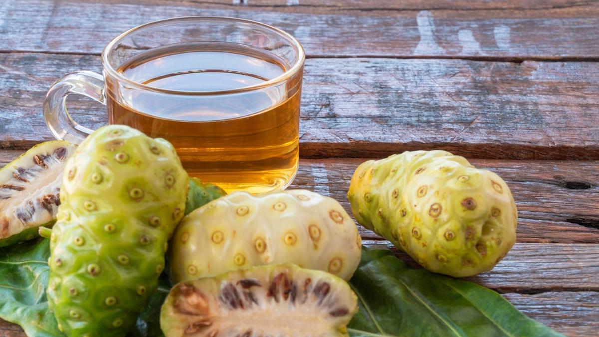 Resep Jamu Mengkudu Pandan untuk Penderita Kolesterol dan Asam Urat