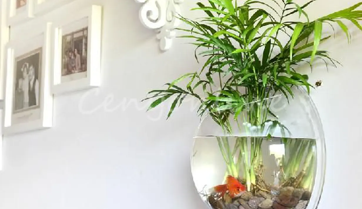 10 Ide Akuarium Cantik untuk Ruangan Sempit