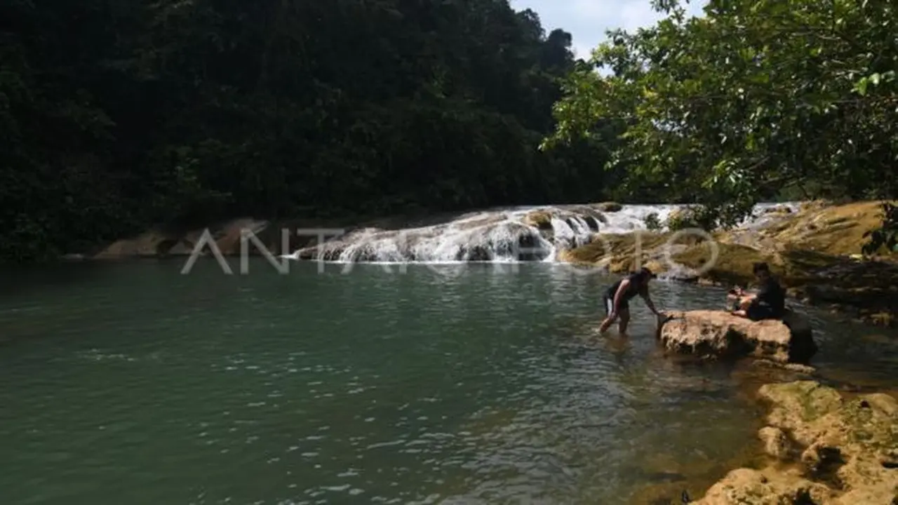 Wisata Sungai Panapa, Wajib Dikunjungi Para Pencinta Alam - Regional ...