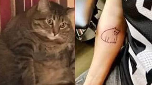 6 Tato Bentuk Kucing Ini Bentuknya Nyeleneh, Bikin Ngakak - Hot ...