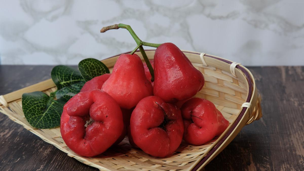 6 Manfaat Mengonsumsi Jambu Air untuk Mengontrol Kolesterol - Health ...