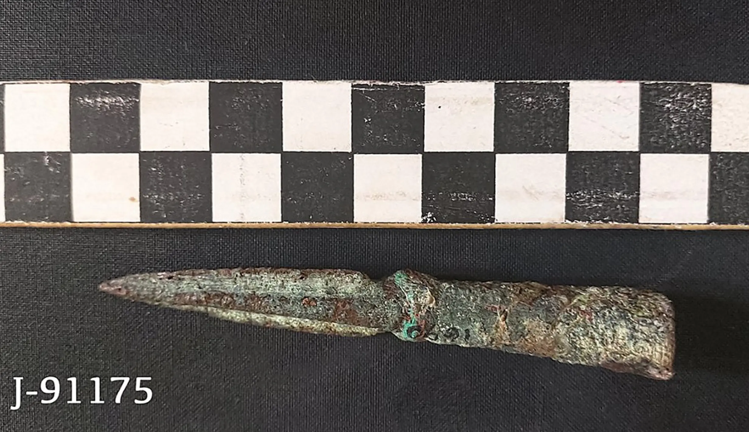 FOTO: Penampakan Mumi Firaun Seqenenre Taa II Berusia 3.600 Tahun ...