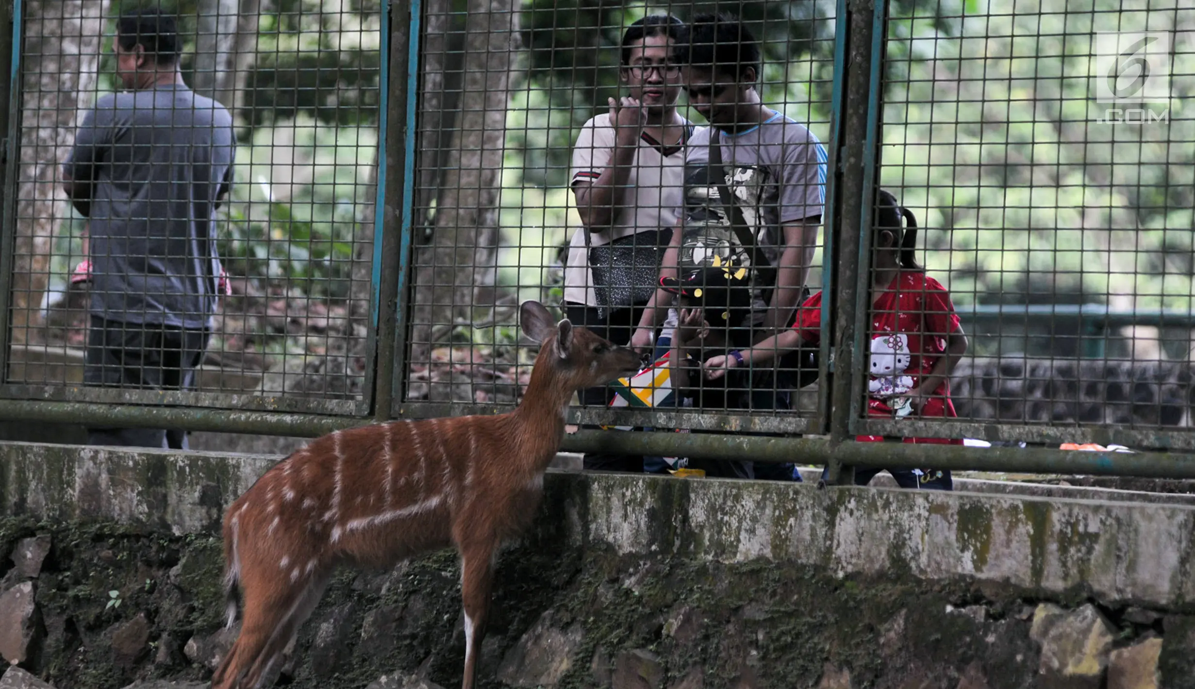 Lebaran Ke-2, Kebun Binatang Ragunan Penuh Pengunjung - Foto Liputan6.com