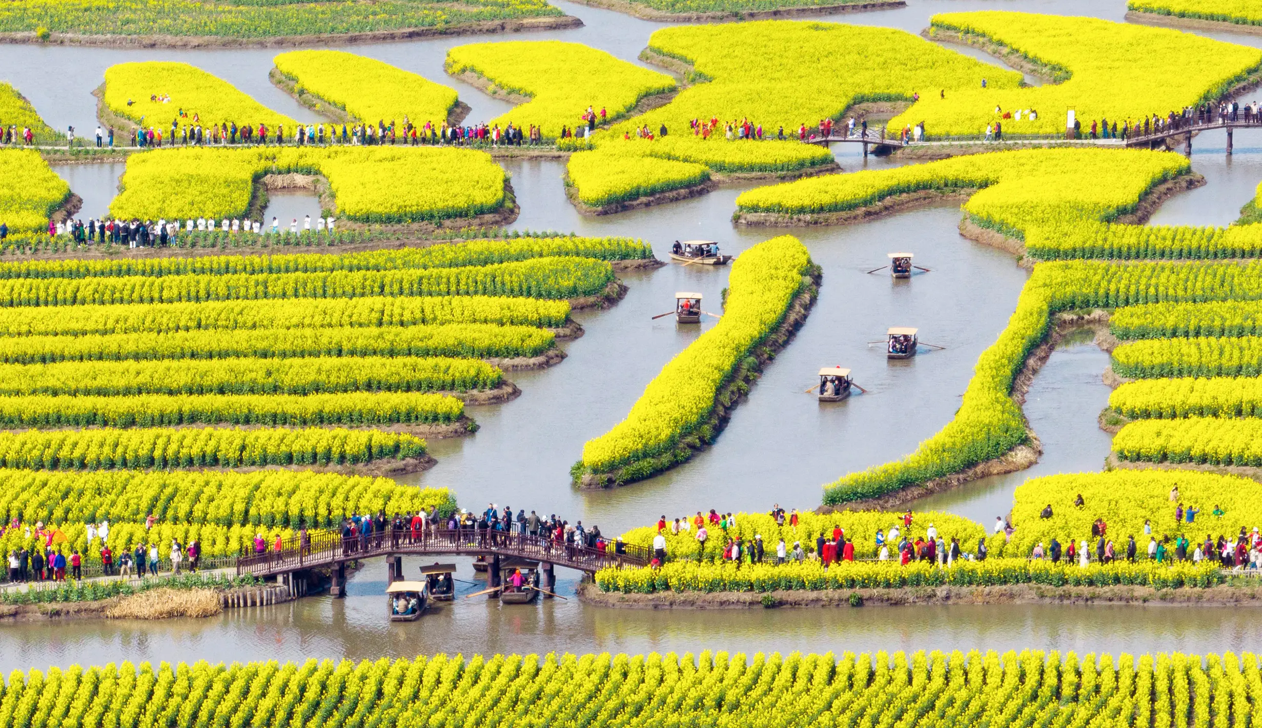 Menikmati Keindahan Warna-warni Bunga Sakura Bermekaran di China - Foto ...