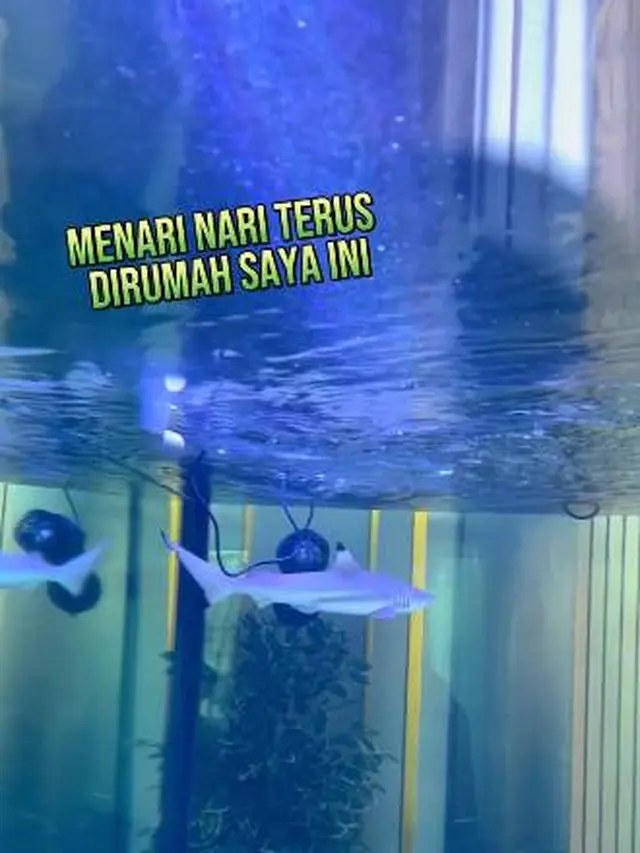 Dikecam Netizen, Ini 6 Potret dr. Richard Lee yang Pelihara Hiu - Hot ...