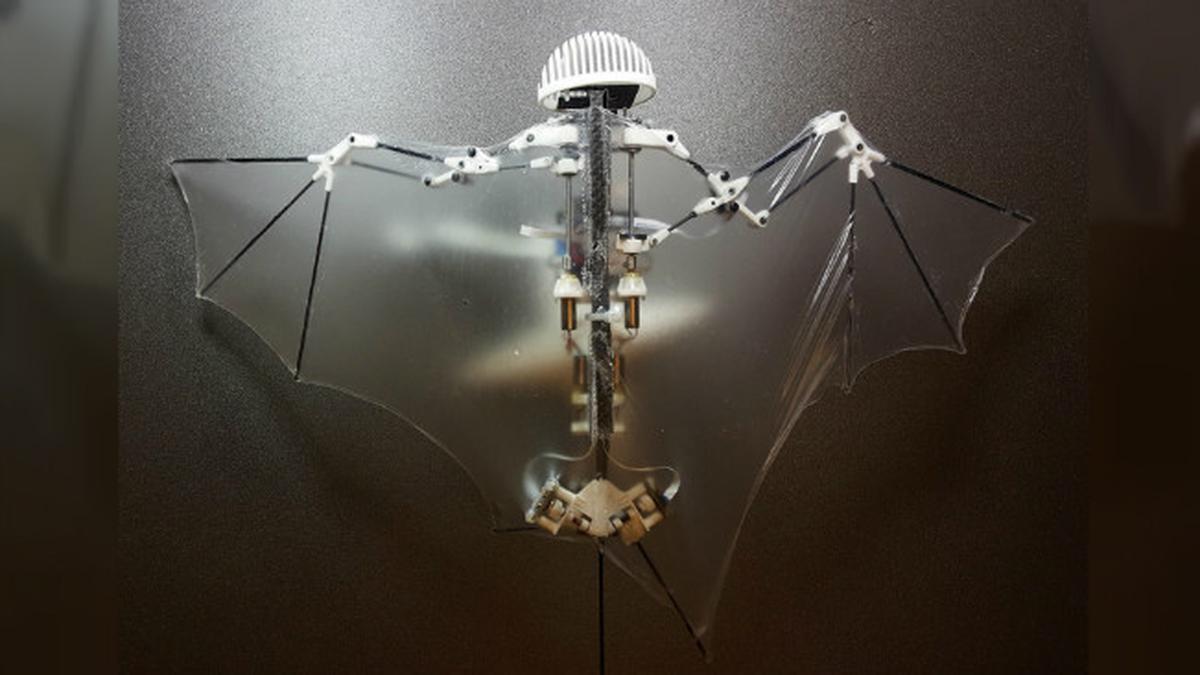 Ilmuwan Ciptakan Robot Keren yang Bisa Menukik seperti Kelelawar ...
