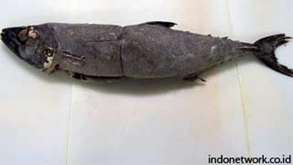 Ini Manfaat Ikan Gindara untuk Tubuh - Health Liputan6.com