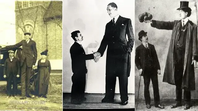 10 'Manusia Raksasa' di Dunia - Global Liputan6.com