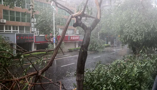 Mustafa Kemal Ataturk, Pahlawan Sekuler Turki yang Akhiri Era ...