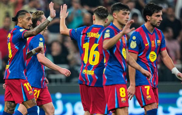 Contoh Gambar Organ Tubuh Manusia dan Fungsinya untuk Media Pendidikan