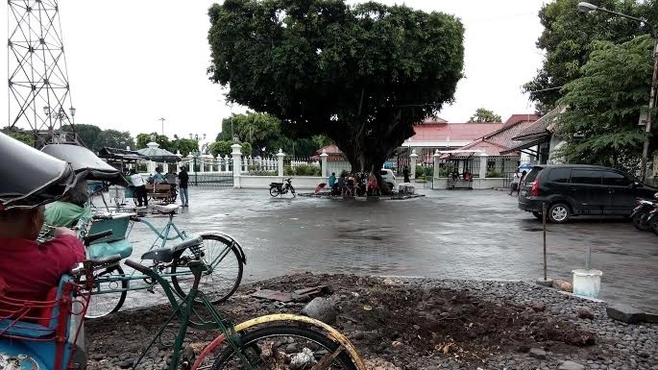 Pohon Beringin Kraton Yogya Mendadak Tumbang