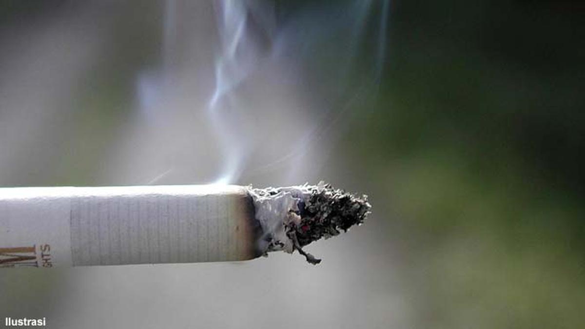 Edusains, Cara Pemkot Padang Panjang Ajarkan Bahaya Rokok ke Anak ...