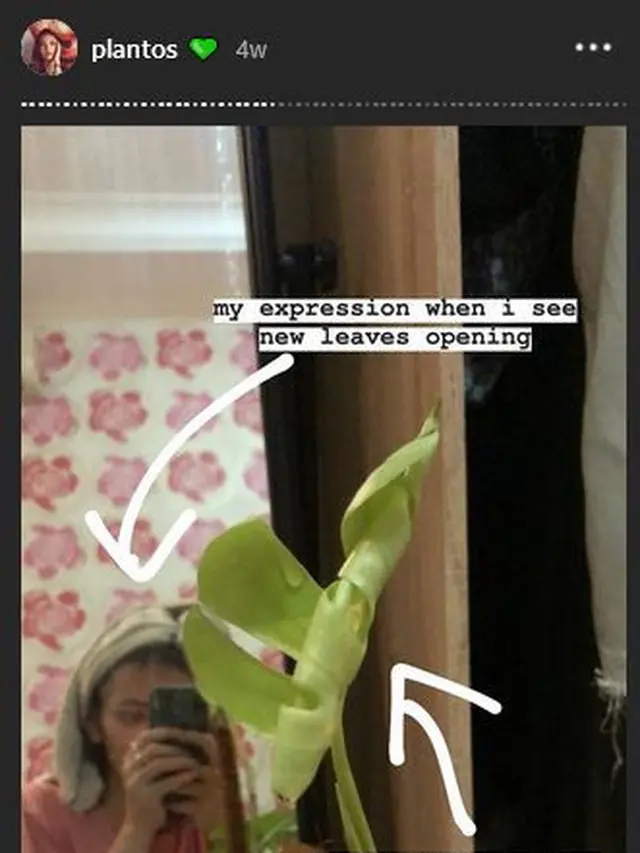 Hobi Berkebun, Ini 6 Potret Haico Van der Veken Pamer Tanaman ...