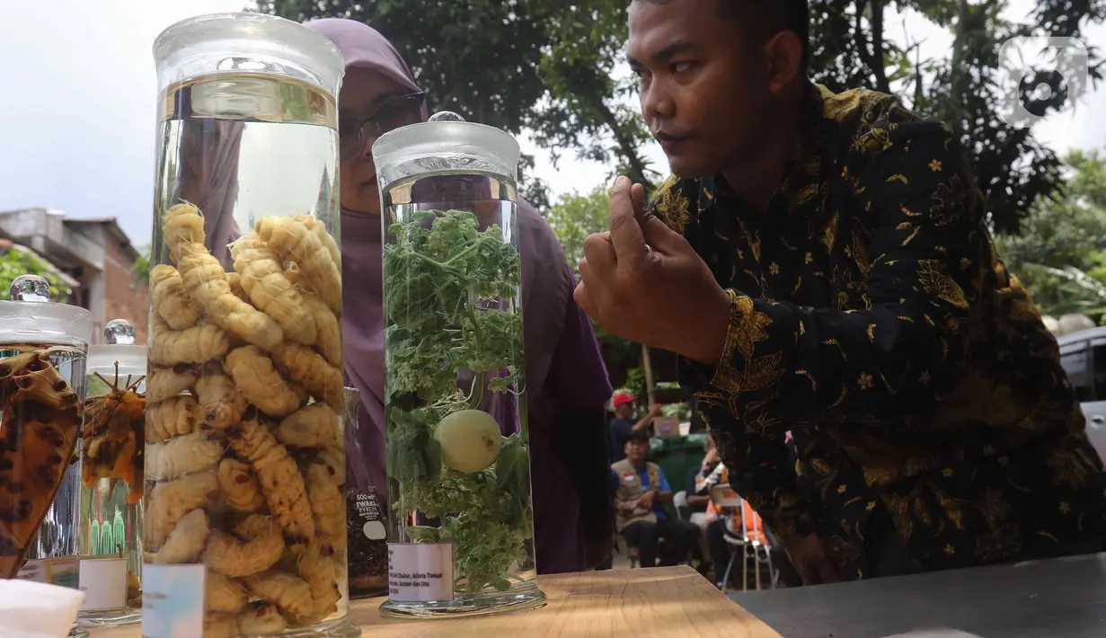 Edukasi Tanaman dengan Mobil Klinik Tanaman Keliling - Foto Liputan6.com