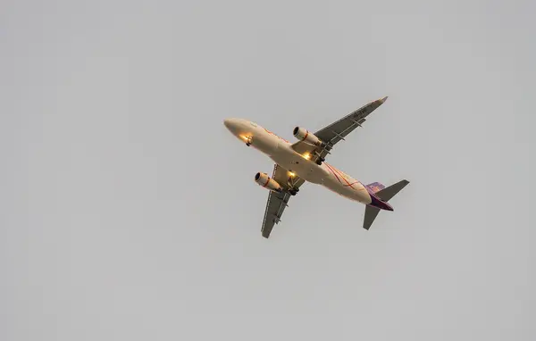 Salep Genoint untuk Apa? Manfaat, Dosis, dan Cara Penggunaan yang Tepat ...