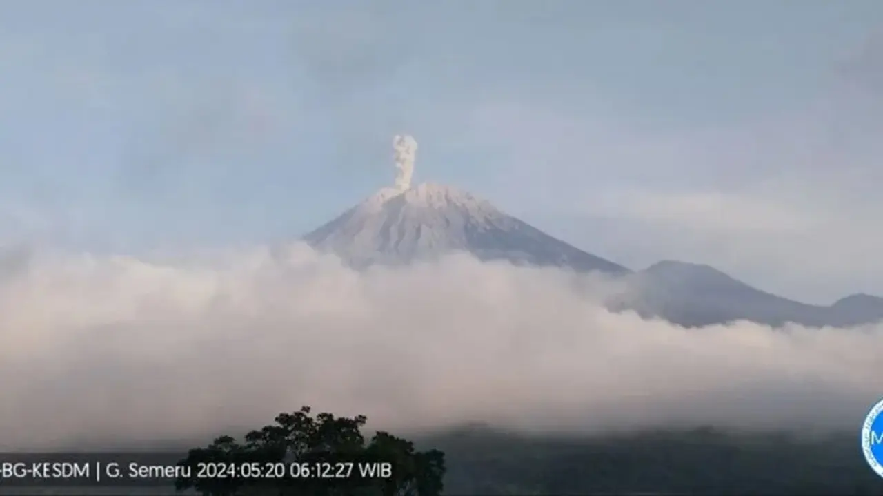 Gunung Semeru Erupsi Enam kali Beruntun Jumat Pagi Hari Ini, Lontarkan Abu Vulkanik hingga 900 ...
