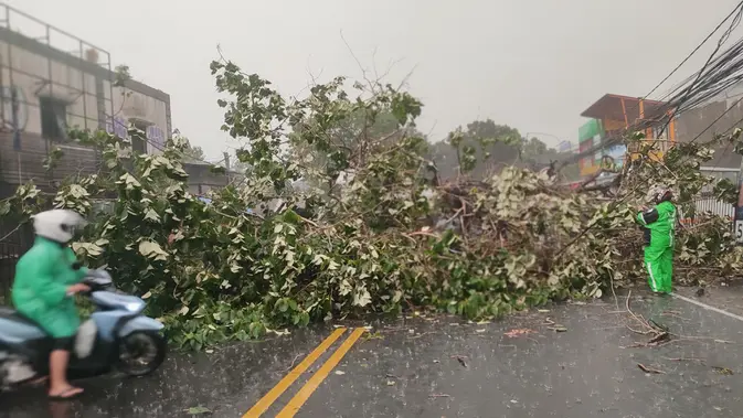 Hujan Deras dan Angin Kencang, Pohon Tumbang Timpa Mobil di Bogor - News Liputan6.com