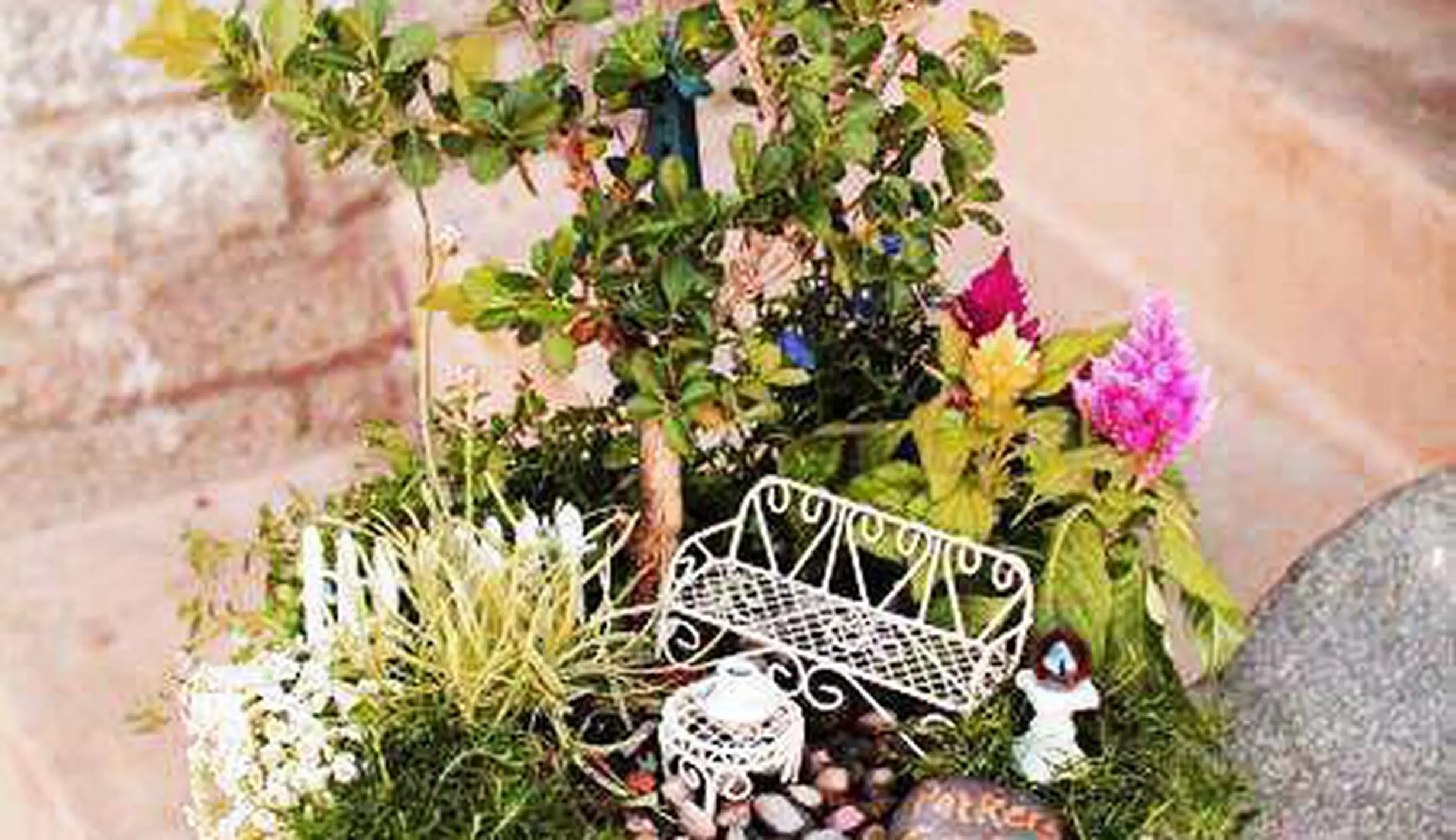 Inspirasi Taman Mini di Pot yang Kece & Keren Abis - Photo Fimela.com