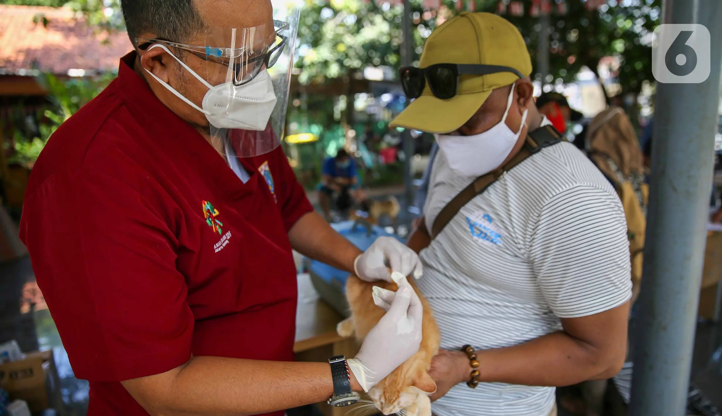 FOTO: Pemberian Vaksin Anti Rabies Gratis untuk Hewan Peliharaan - Foto ...