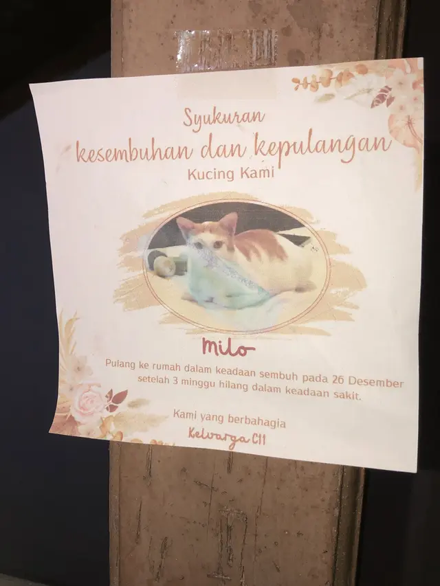 7 Momen Orang Bikin Acara Syukuran Untuk Kucing, Ada yang Ditertawakan ...