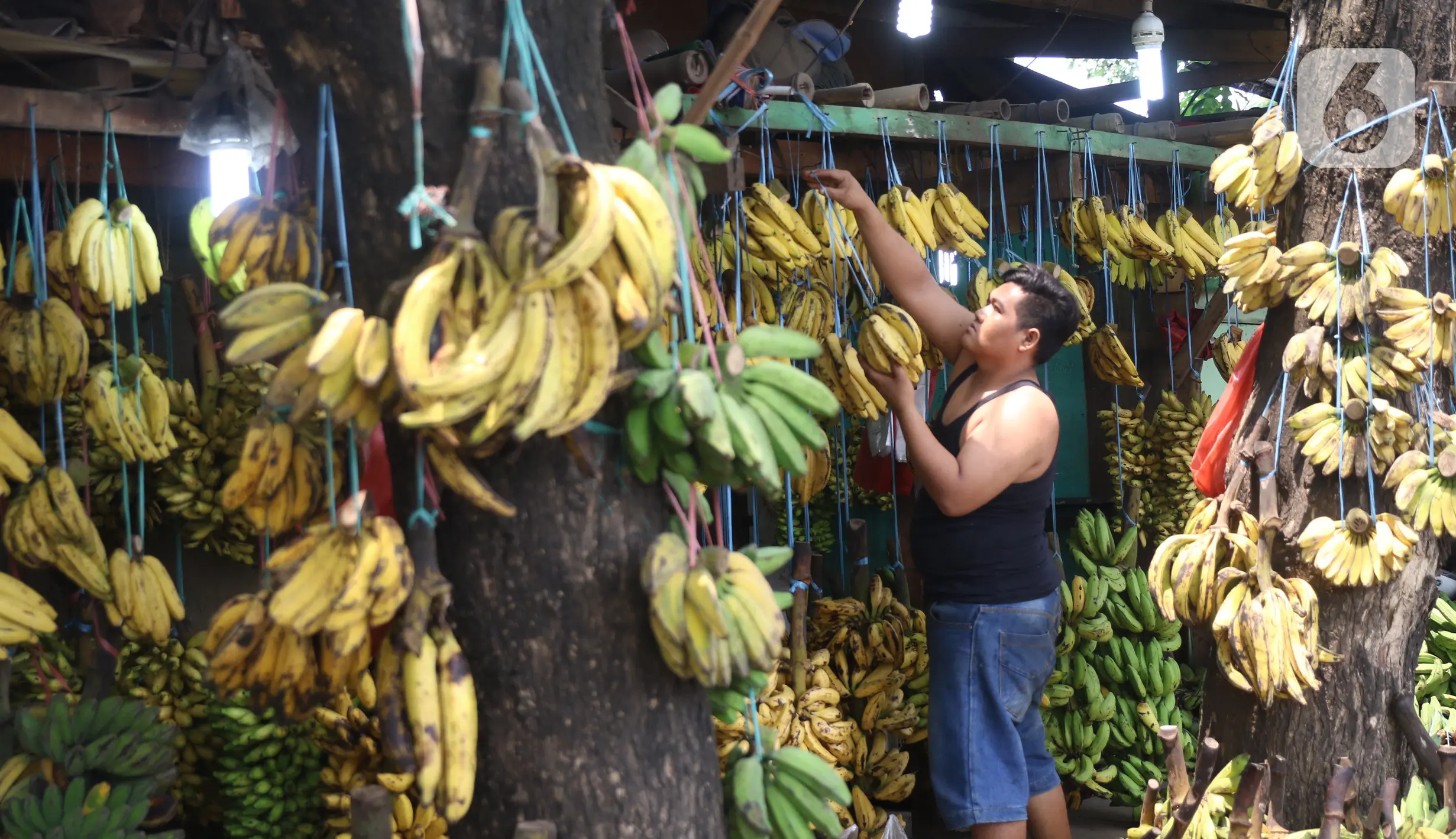 FOTO: Terdampak Pandemi, Penjualan Pisang di Pasar Tradisional Lesu ...