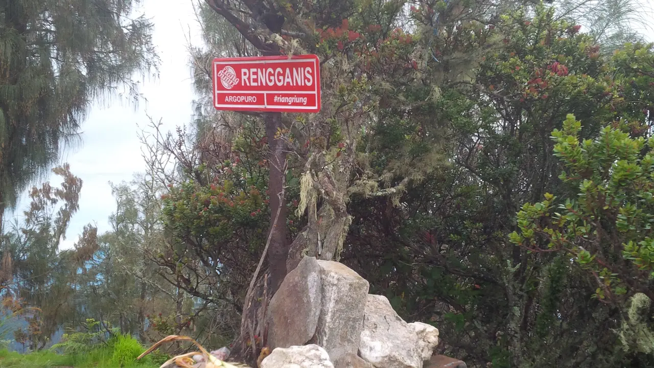 Mitos Kutukan Harta Karun Dewi Rengganis di Gunung Argopuro - Jatim ...