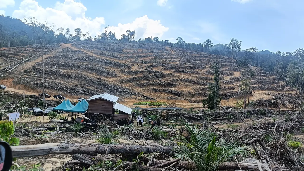 Sekilas Taman Nasional Tesso Nilo, Habitat Gajah yang Dihabisi Perambah