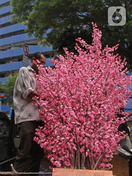 FOTO: Berburu Bunga Meihua untuk Hiasan Imlek - Foto Liputan6.com