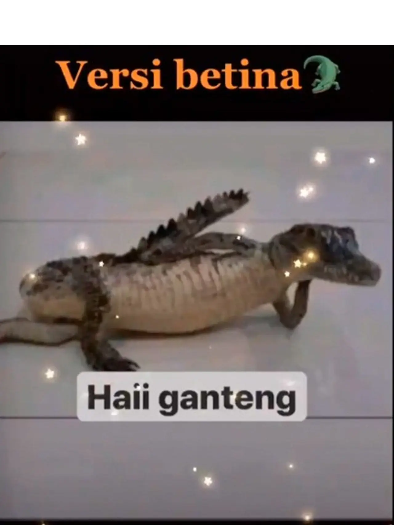10 Meme Buaya Darat Versi Betina Ala Netizen Ini Bikin Geleng Kepala ...