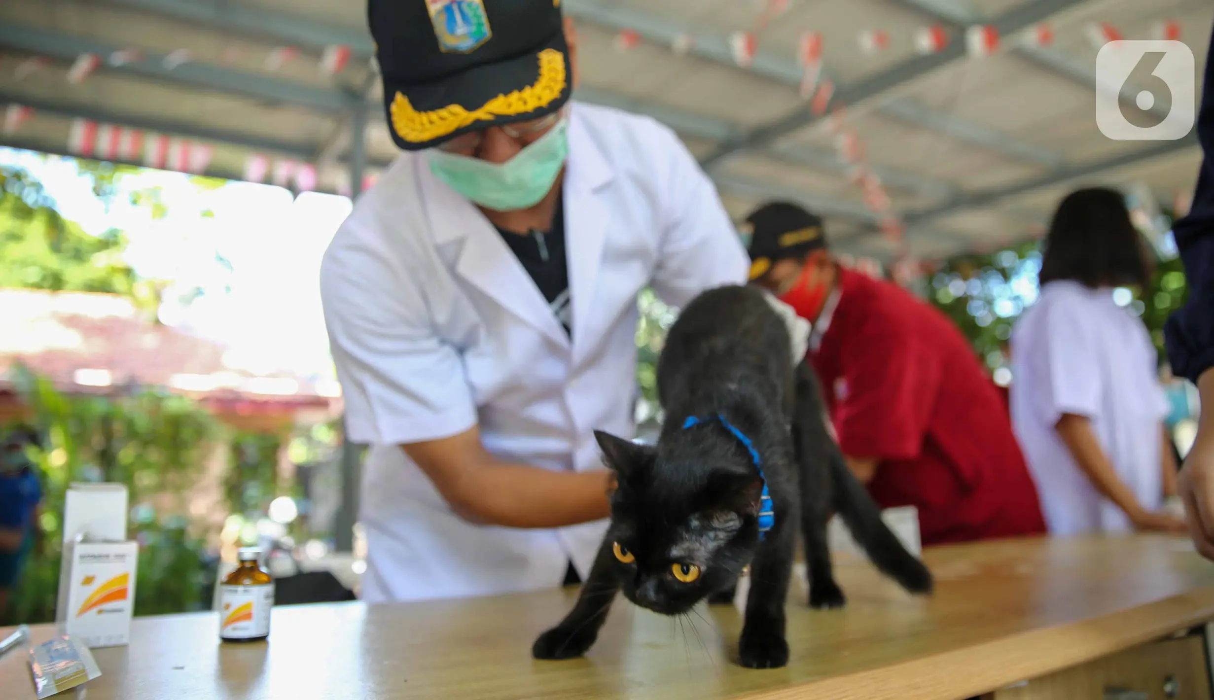 FOTO: Pemberian Vaksin Anti Rabies Gratis untuk Hewan Peliharaan - Foto ...