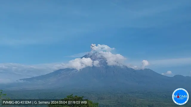 Gunung Semeru Erupsi Lagi, Semburan Abu Vulkanik Capai 800 Meter dari Puncak - Regional Liputan6.com