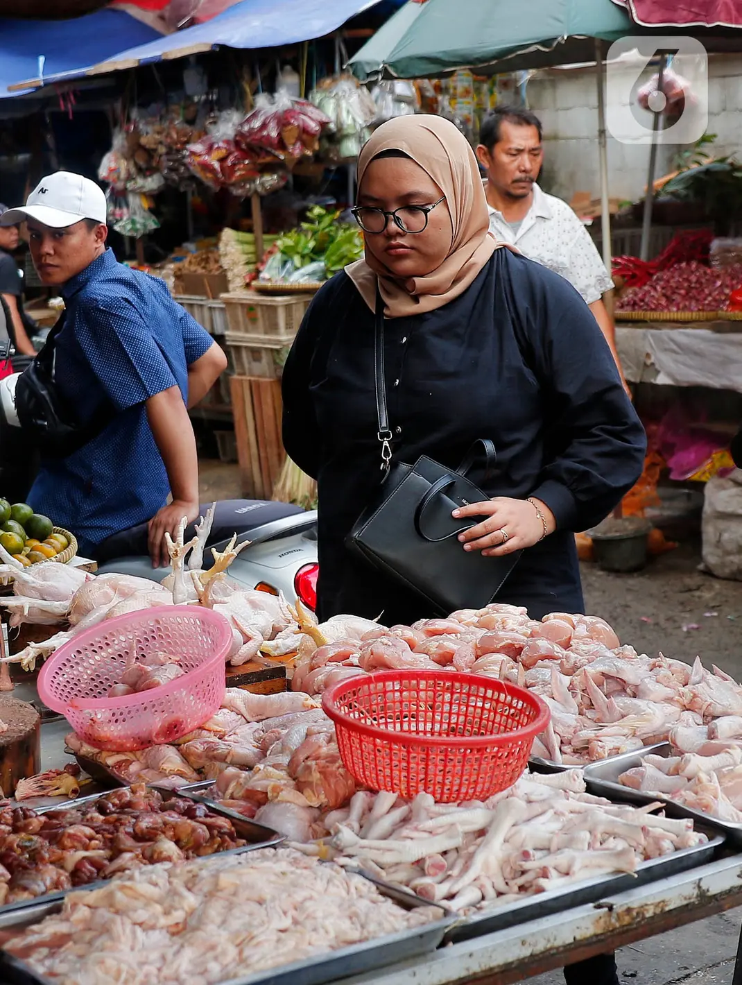 Harga Ayam Potong Alami Kenaikan Hingga Rp 50 Ribu per Ekor - Foto ...