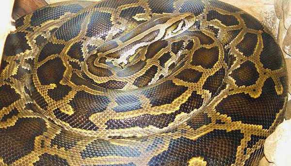 Apa Itu Kufur Nikmat dalam Islam? Ini Pengertian, Contoh, dan Cara ...