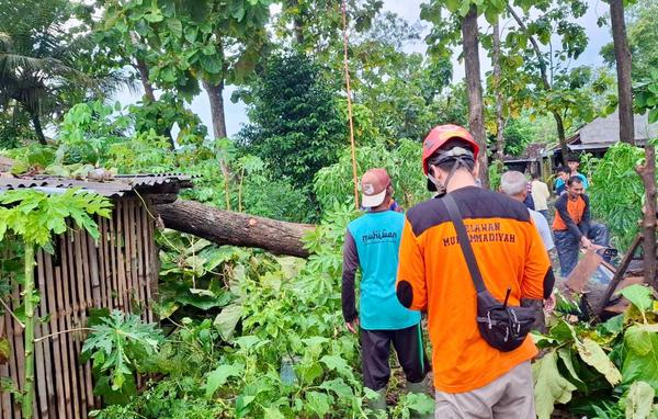 Apa itu GAPI adalah: Sejarah, Tujuan, dan Perjuangan Organisasi ...