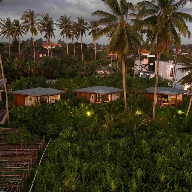 50 Restoran Terbaik Asia 2025, Locavore NXT Bali Raih Penghargaan ...