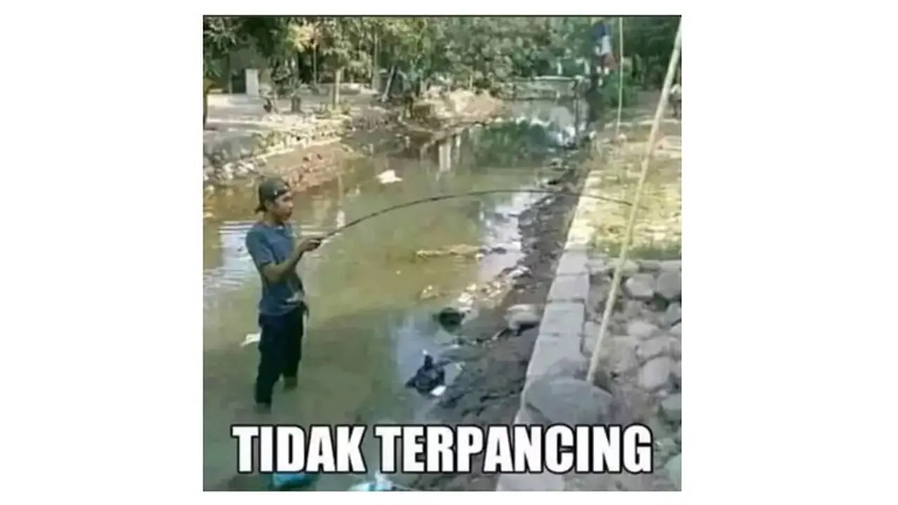 6 Meme Absurd yang Punya Makna Ganda Ini Bikin Mikir Keras, Kocak - Hot ...