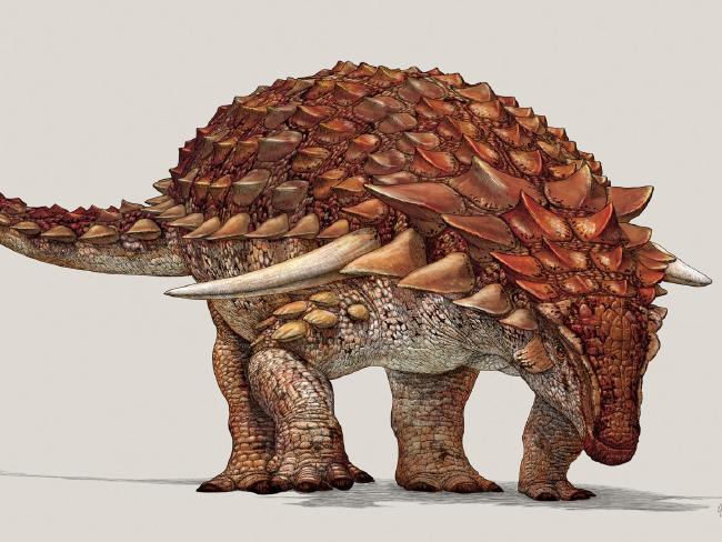 Ilmuwan Temukan Fosil Reptil Laut Pertama Era Dinosaurus di India ...