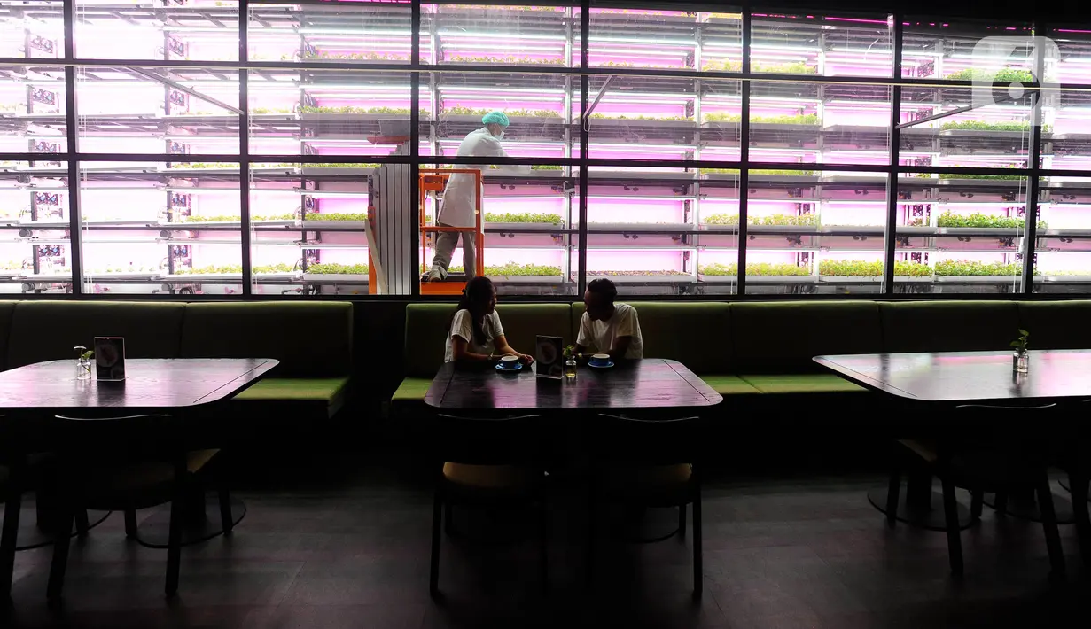 Unik, Kafe di Tangerang Selatan Hadirkan Pertanian Dalam Ruangan - Foto ...