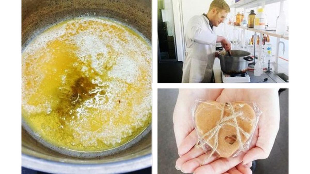 Sampo Urin Sapi, Tertarik Mencoba? - Global Liputan6.com