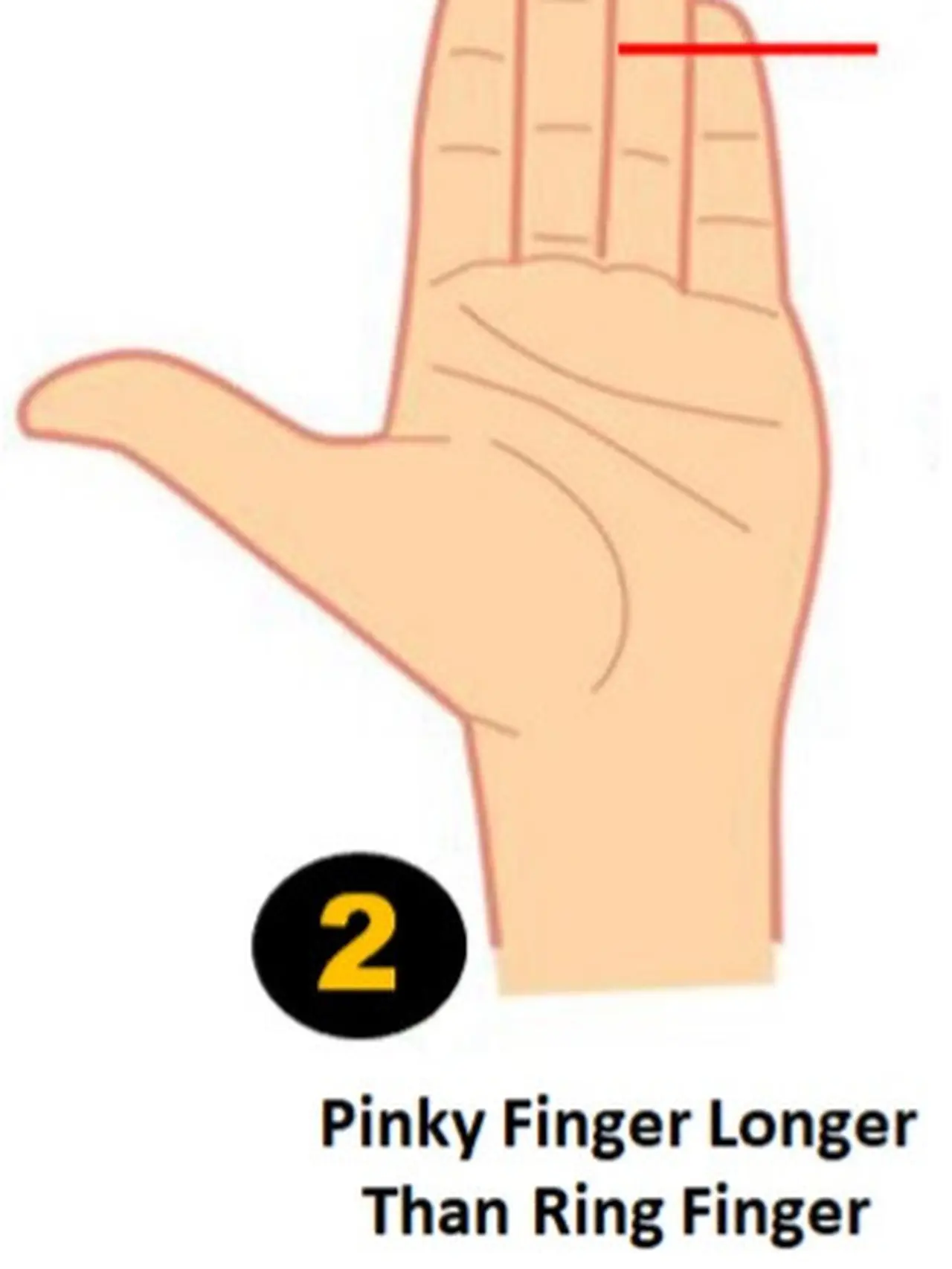 Panjang Jari Kelingking Bisa Ungkap Kepribadian yang Tersembunyi, Cek ...