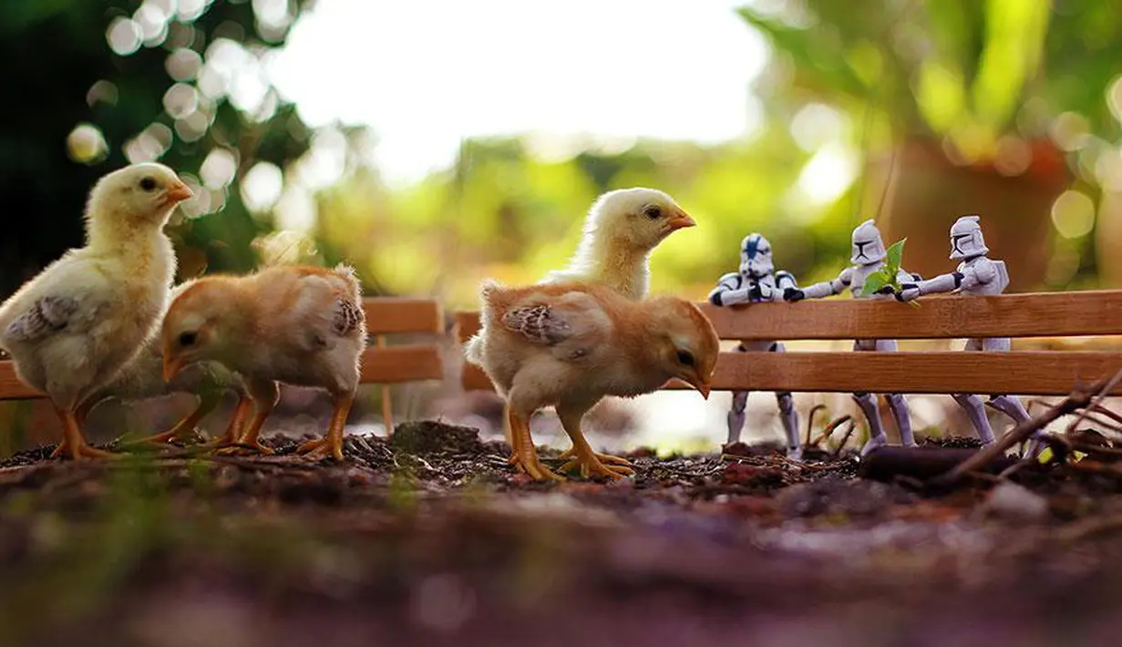 Awas Ada Star Wars Mini - Photo Fimela.com