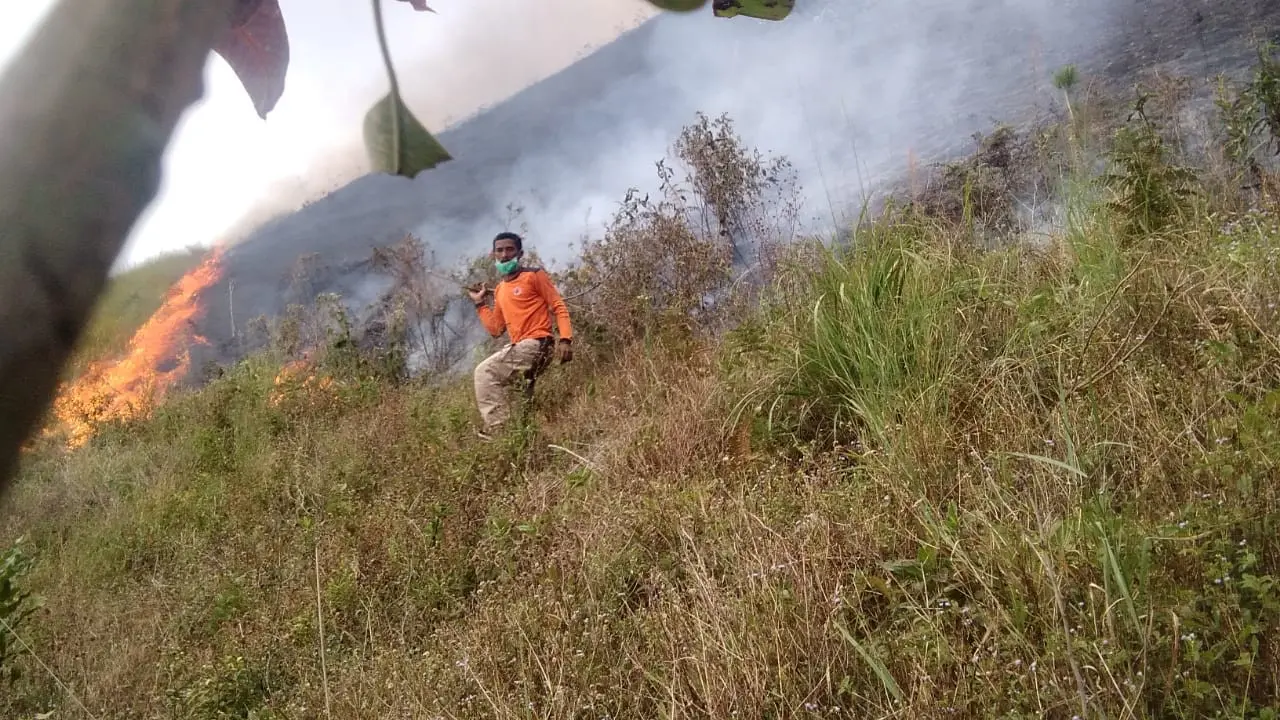Kebakaran Hutan dan Lahan Indonesia Berisiko Munculkan Bencana Kabut Asap di Asia Tenggara ...