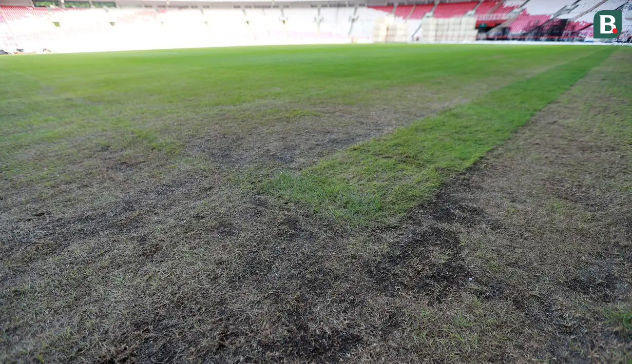 Foto: Menengok Kondisi Menyedihkan Rumput SUGBK yang Jadi Venue Piala ...