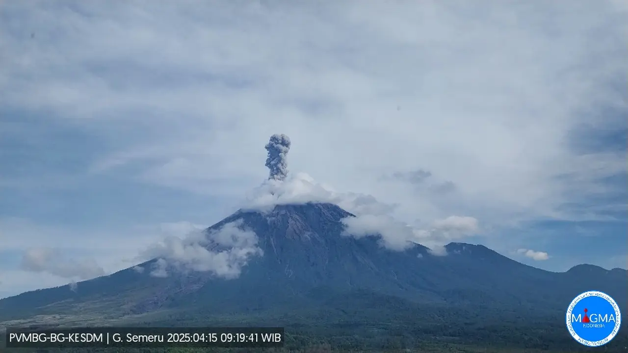 Gunung Semeru Meletus, Abu Vulkanik Menyeruak Setinggi 1.000 Meter, Waspada Radius Bahaya ...
