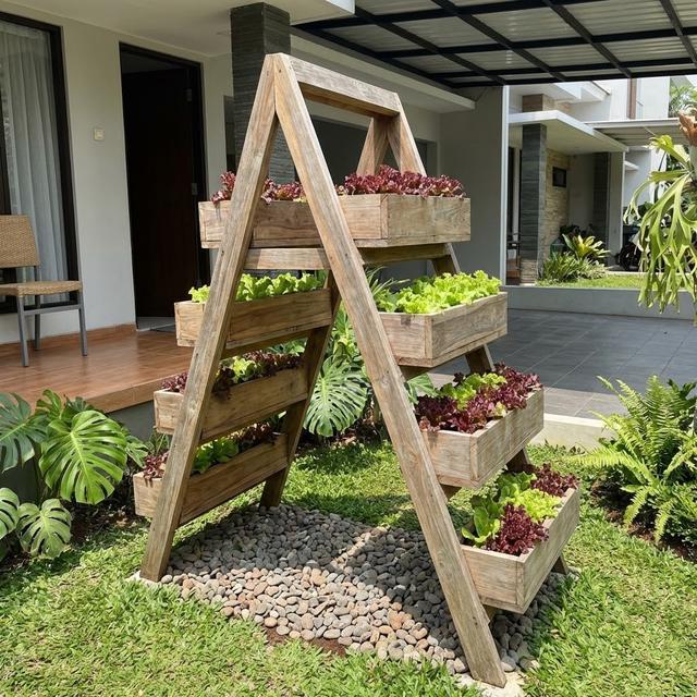 9 Desain Kebun Sayur Minimalis Depan Rumah Pakai Box Planter Kayu, Tren ...